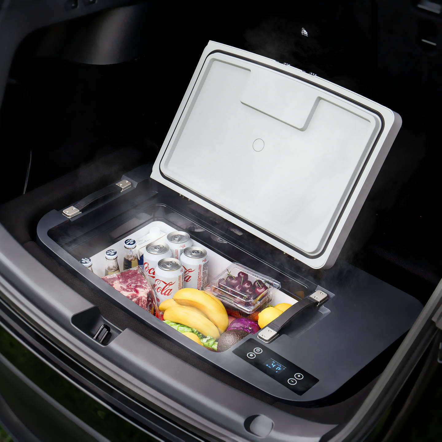 Tesla Model 3 Camping Setup: the portable fridge specially designed to ...