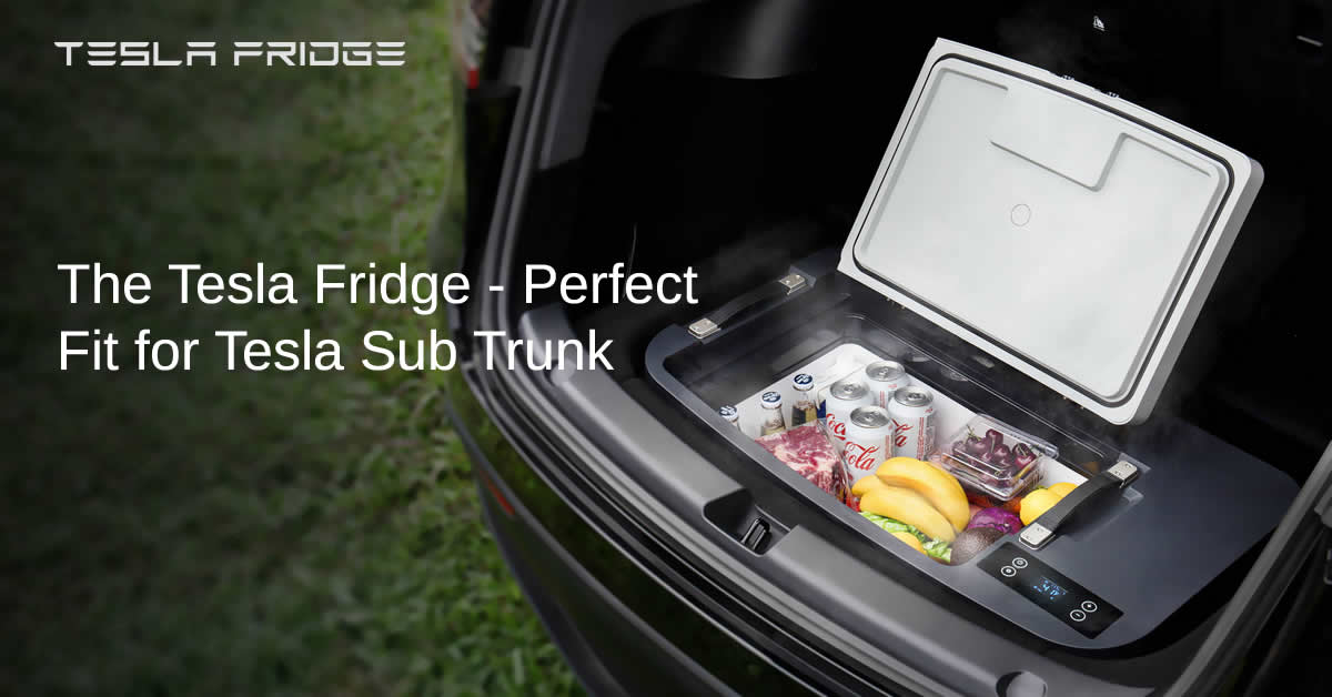 The Tesla Fridge - World's First Portable Freezer for Tesla Sub Trunk ...